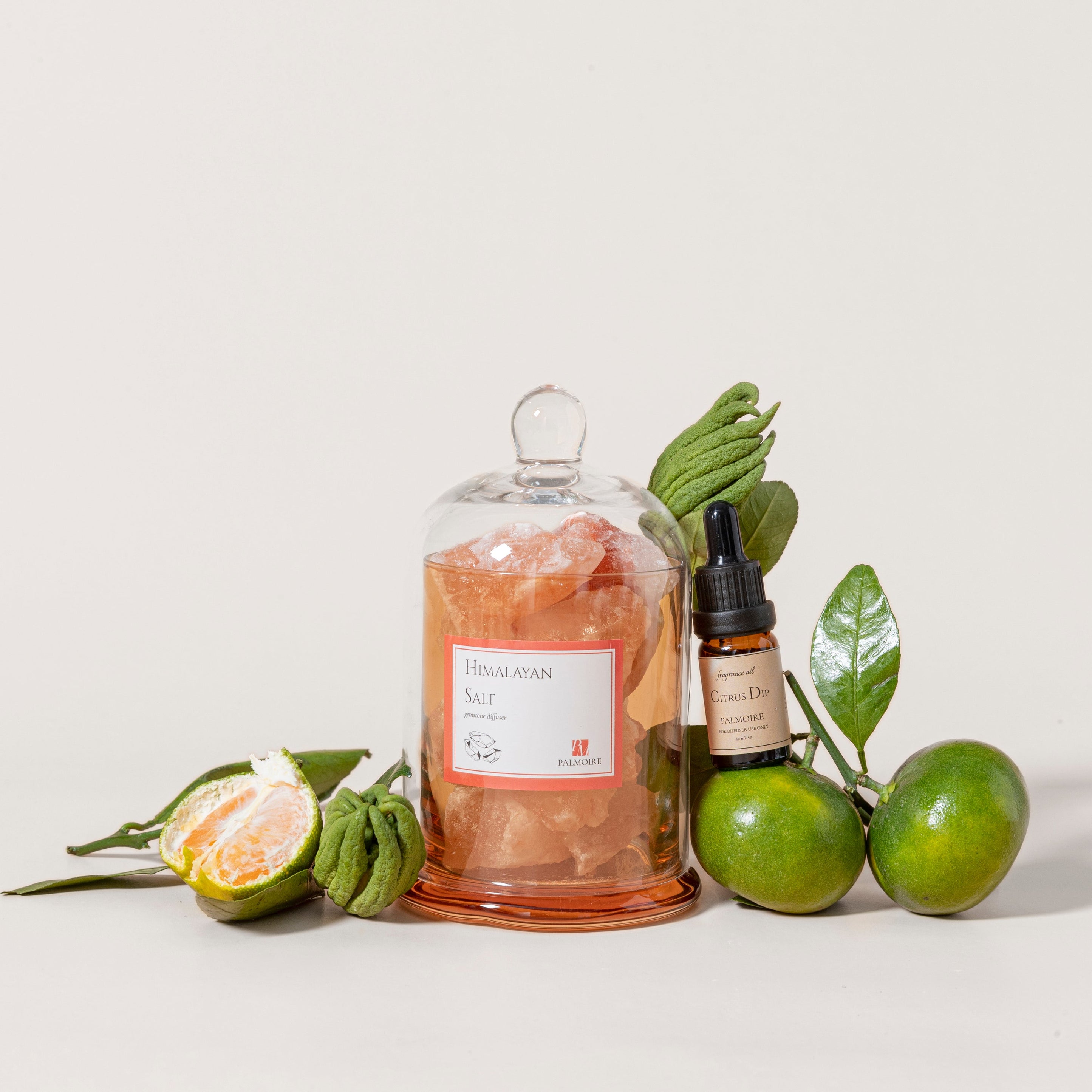 Palmoire Himalayan Salt Gemstone Diffuser – Citrus Dip Fragrance – Lux ...